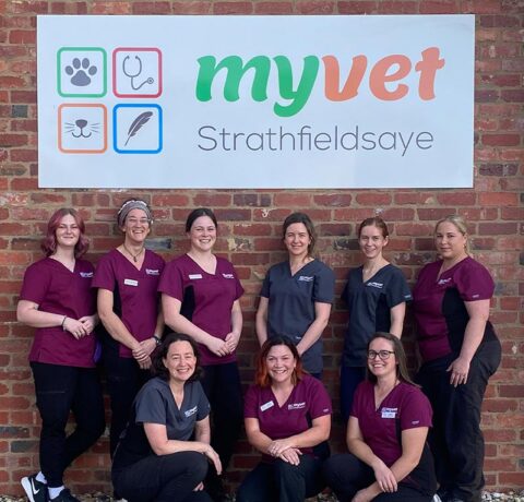 About Us - myvet Strathfieldsaye